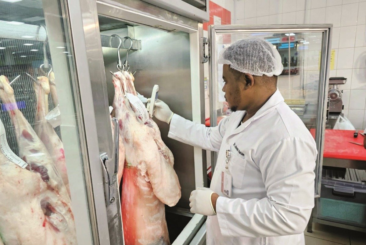 Over 14,500 Sacrificial Animals Inspected During Eid | Qatar Living