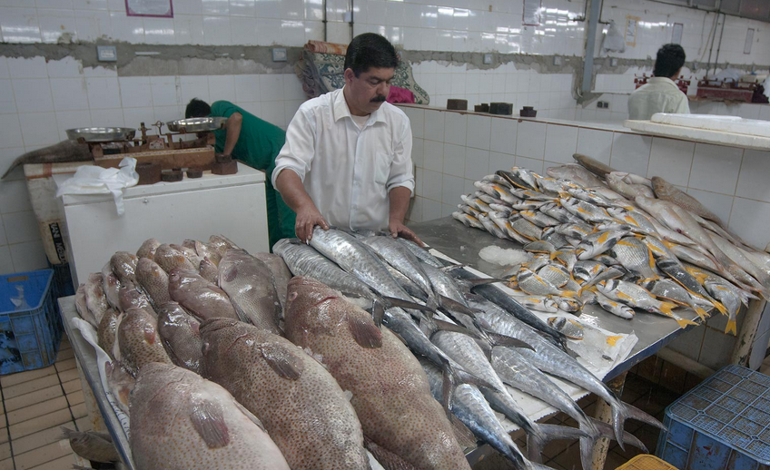 In Qatar: Hamour is now QR100 per kilogram | Qatar Living