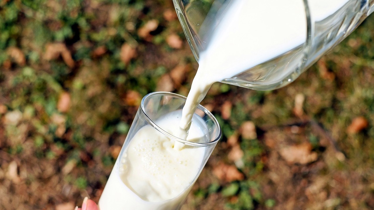 Baladna launches Qatar’s first-ever locally produced long-life milk ...