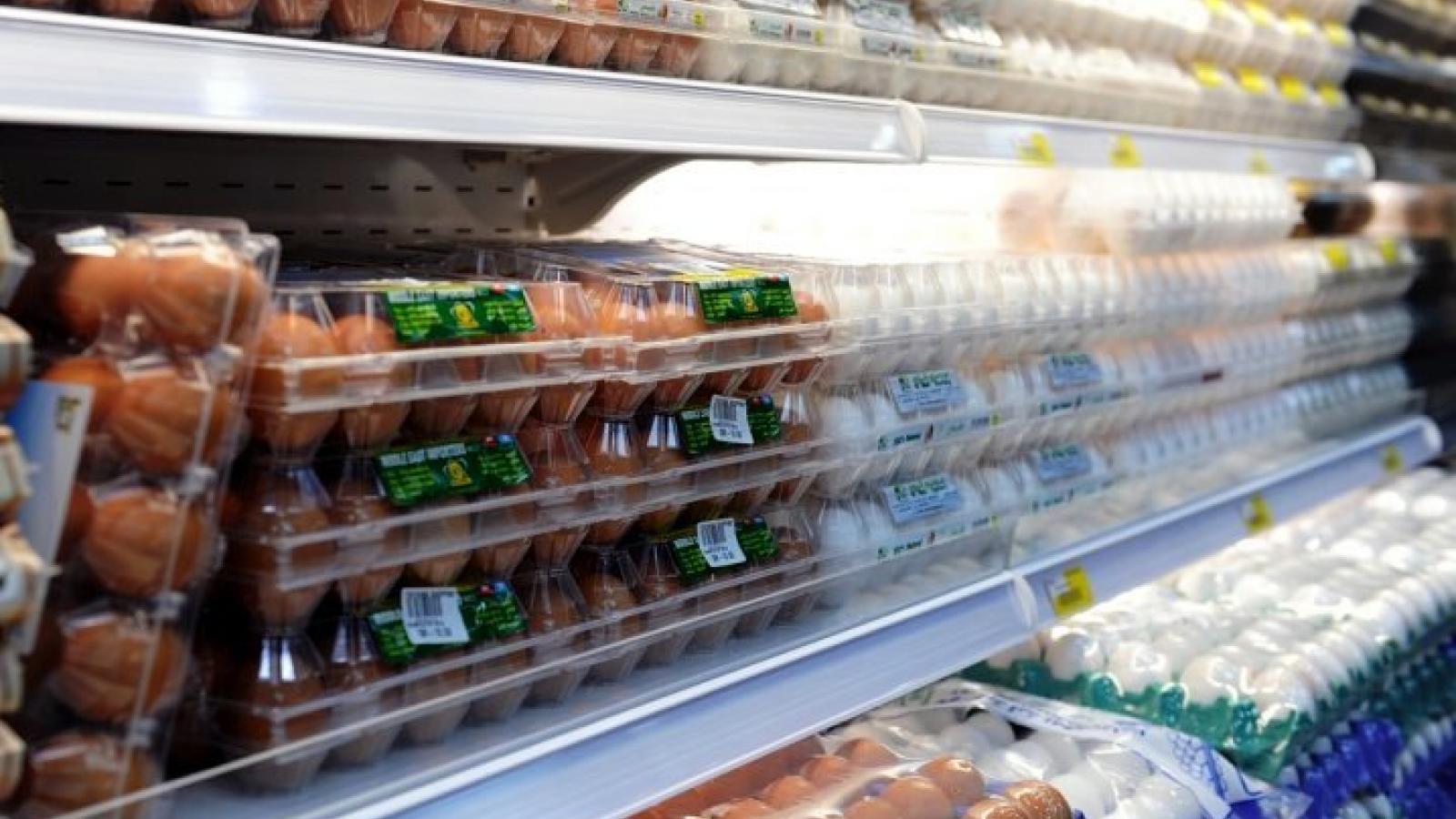 MME and QDB initiative to boost egg production in Qatar | Qatar Living
