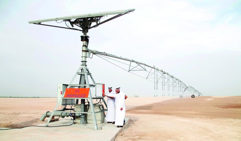 Hassad Food initiates expansion phase to boost fodder production in ...