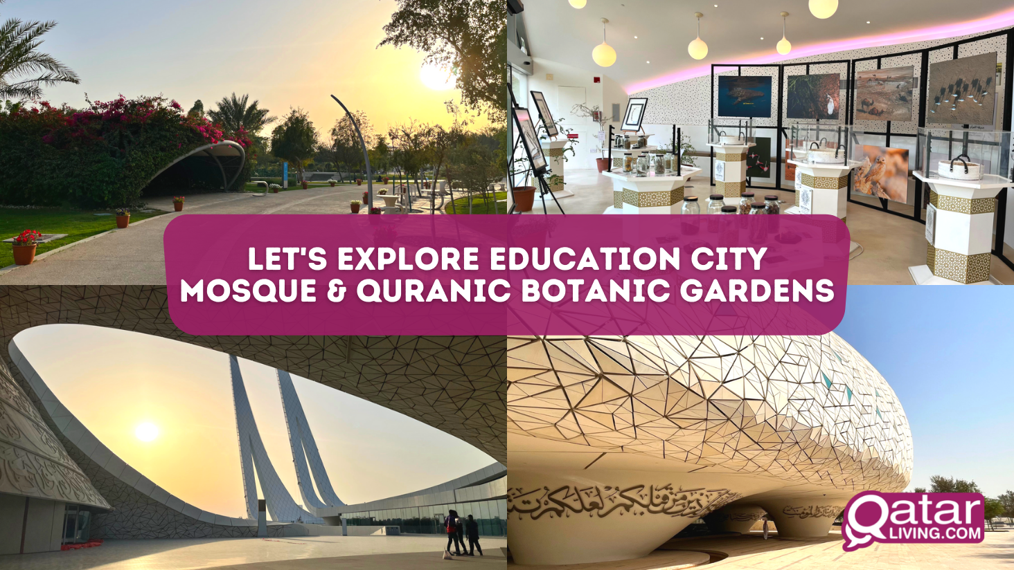Let’s explore Education City Mosque and Quranic Botanic Gardens | Qatar ...