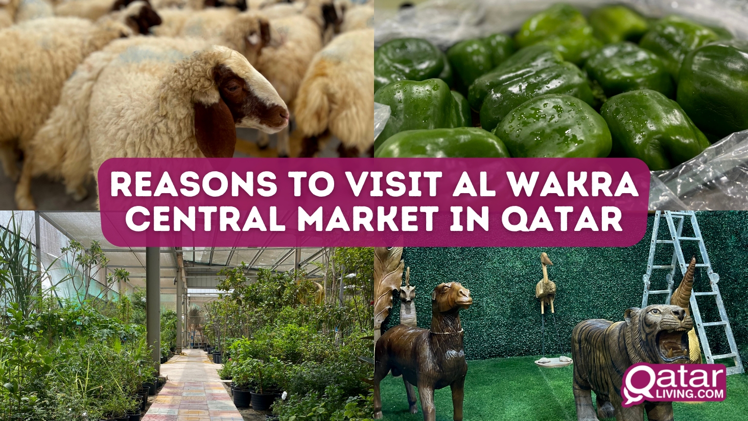 Reasons to visit Al Wakra Central Market in Qatar | Qatar Living