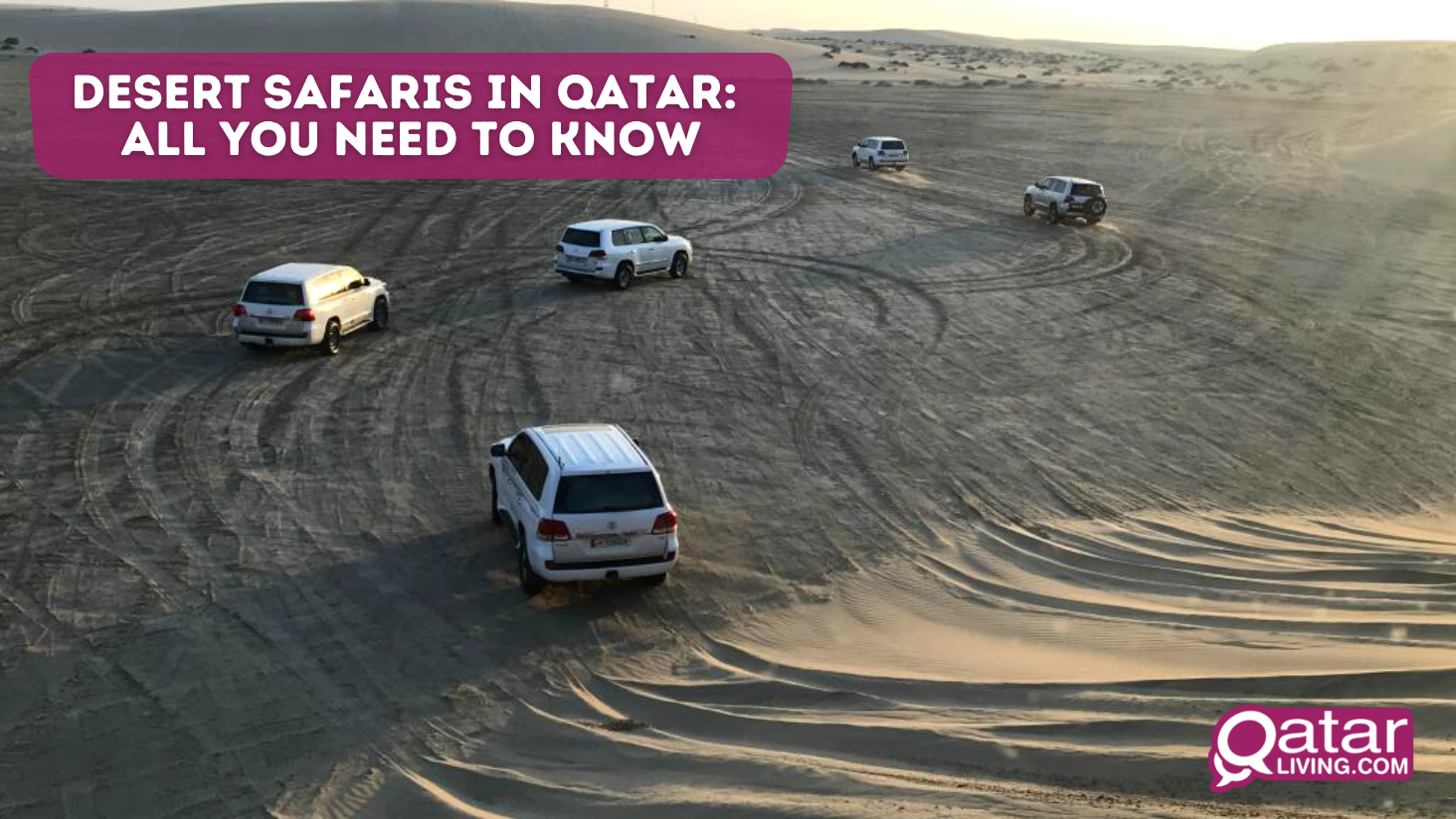 Desert safaris in Qatar: All you need to know | Qatar Living