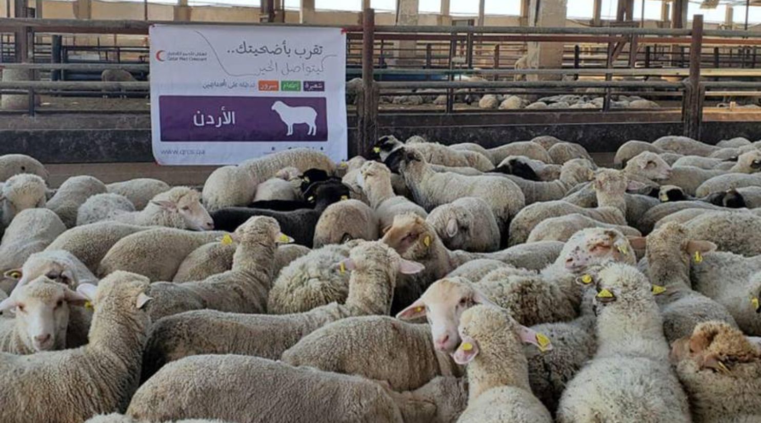 Qatar Red Crescent Society launches annual Adahi project | Qatar Living