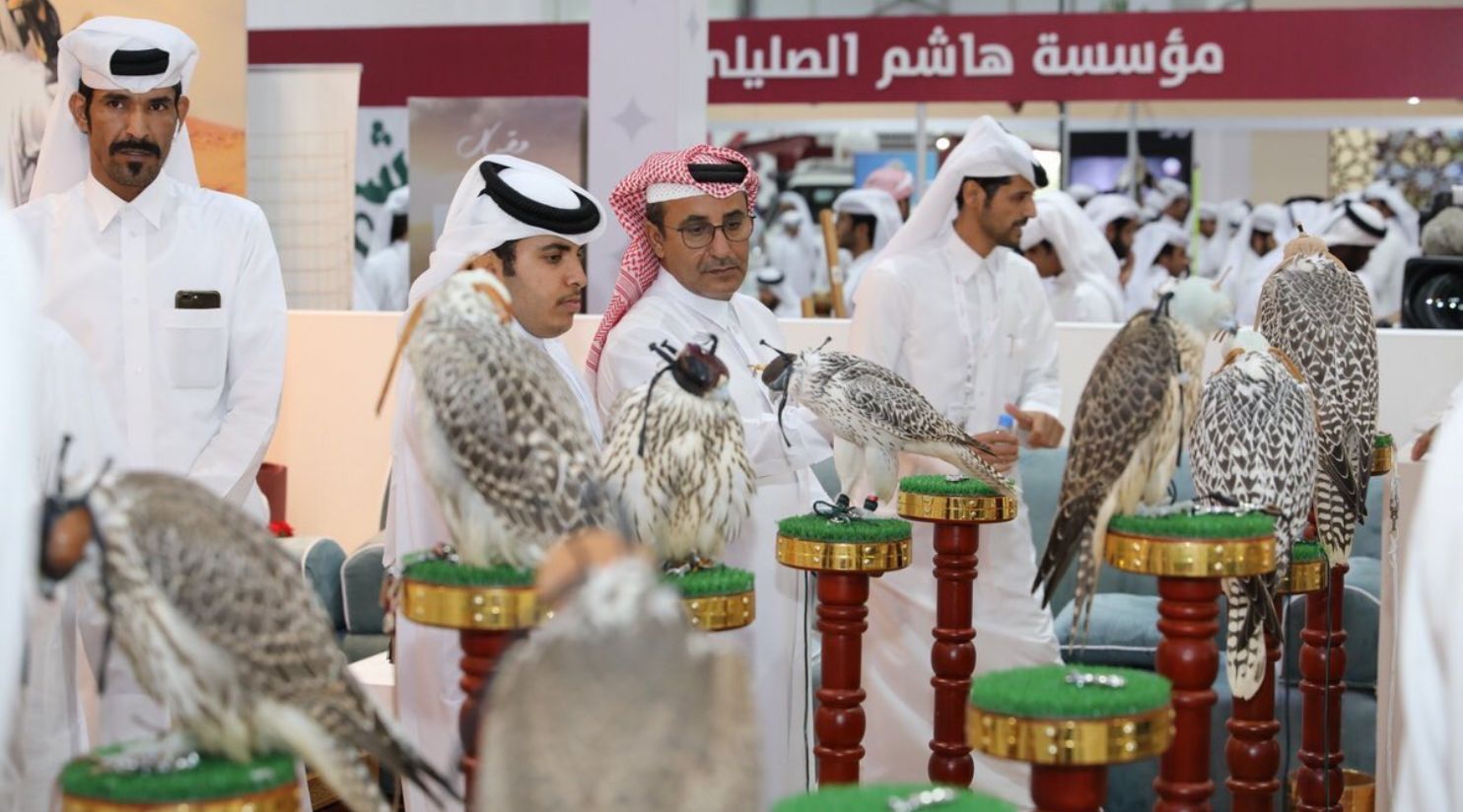 Seventh Katara International Hunting and Falcons Exhibition in ...