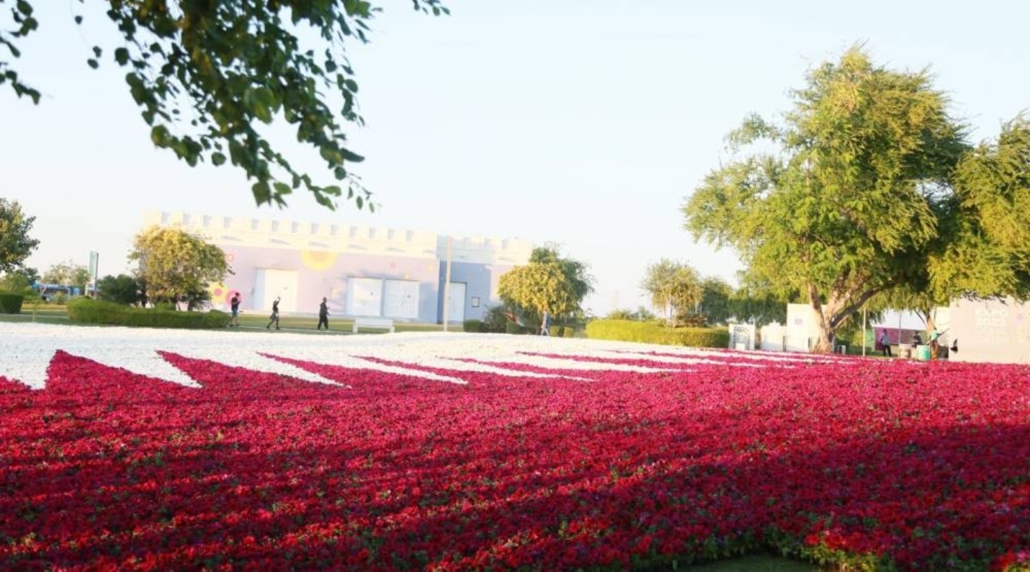 Expo 2023 Doha to break World Record with largest Qatari Flag crafted ...