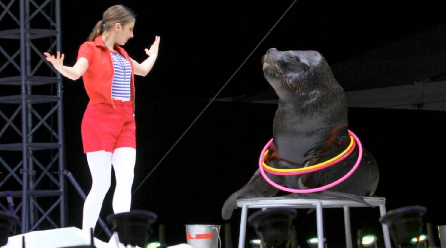 Beyond Reality circus show at Al Wakrah Old Souq extended until January ...
