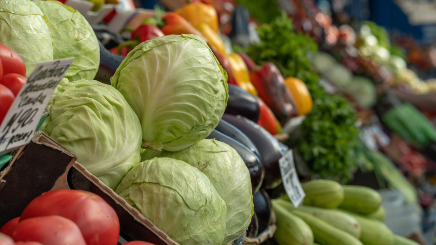 Local Produce Markets Relaunch for 2025/2026 Season | Qatar Living